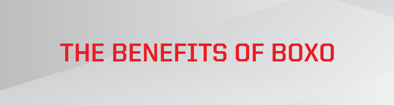 BoxoUSA Professional Tool Solutions